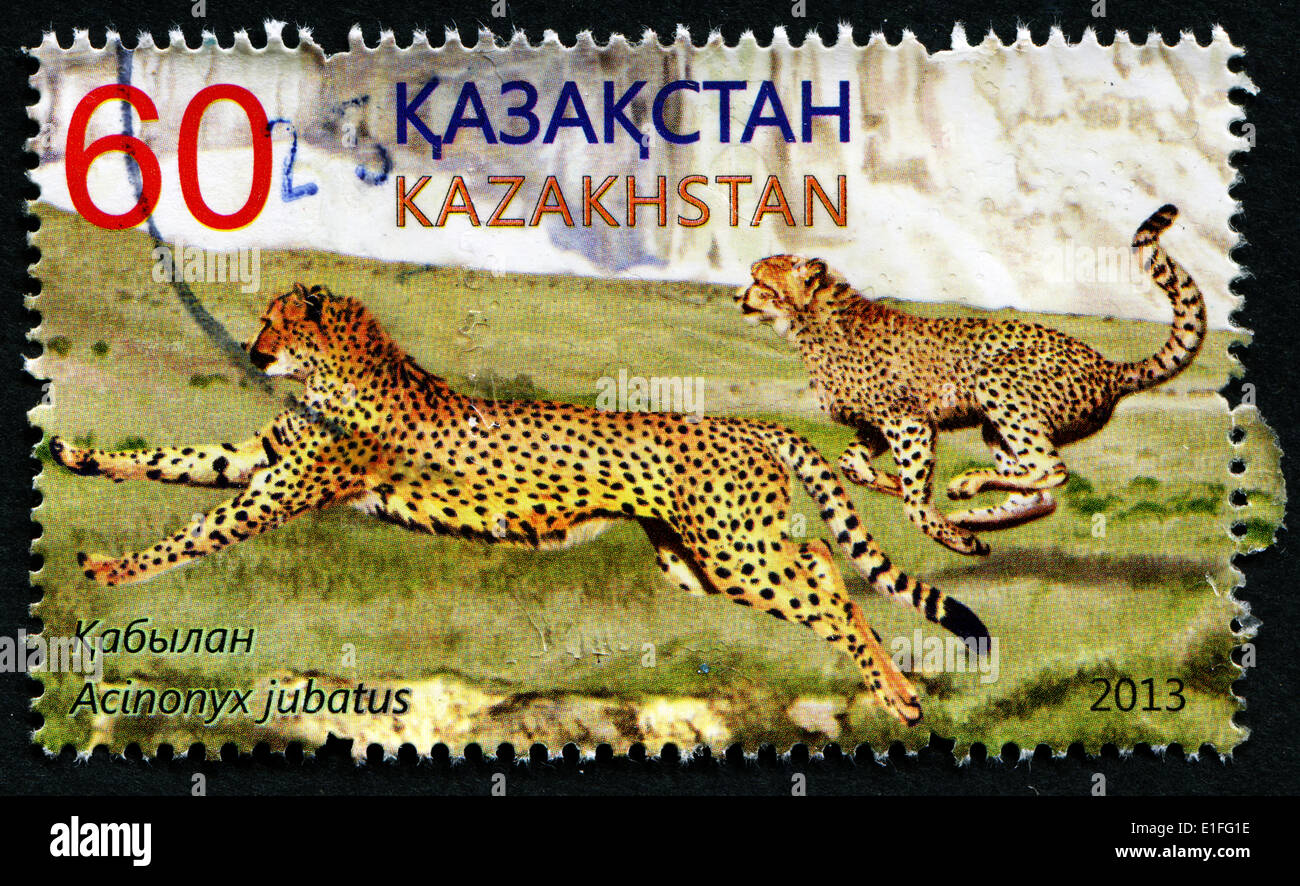 Cheetah acinonyx jubatus postage stamp hi-res stock photography and ...