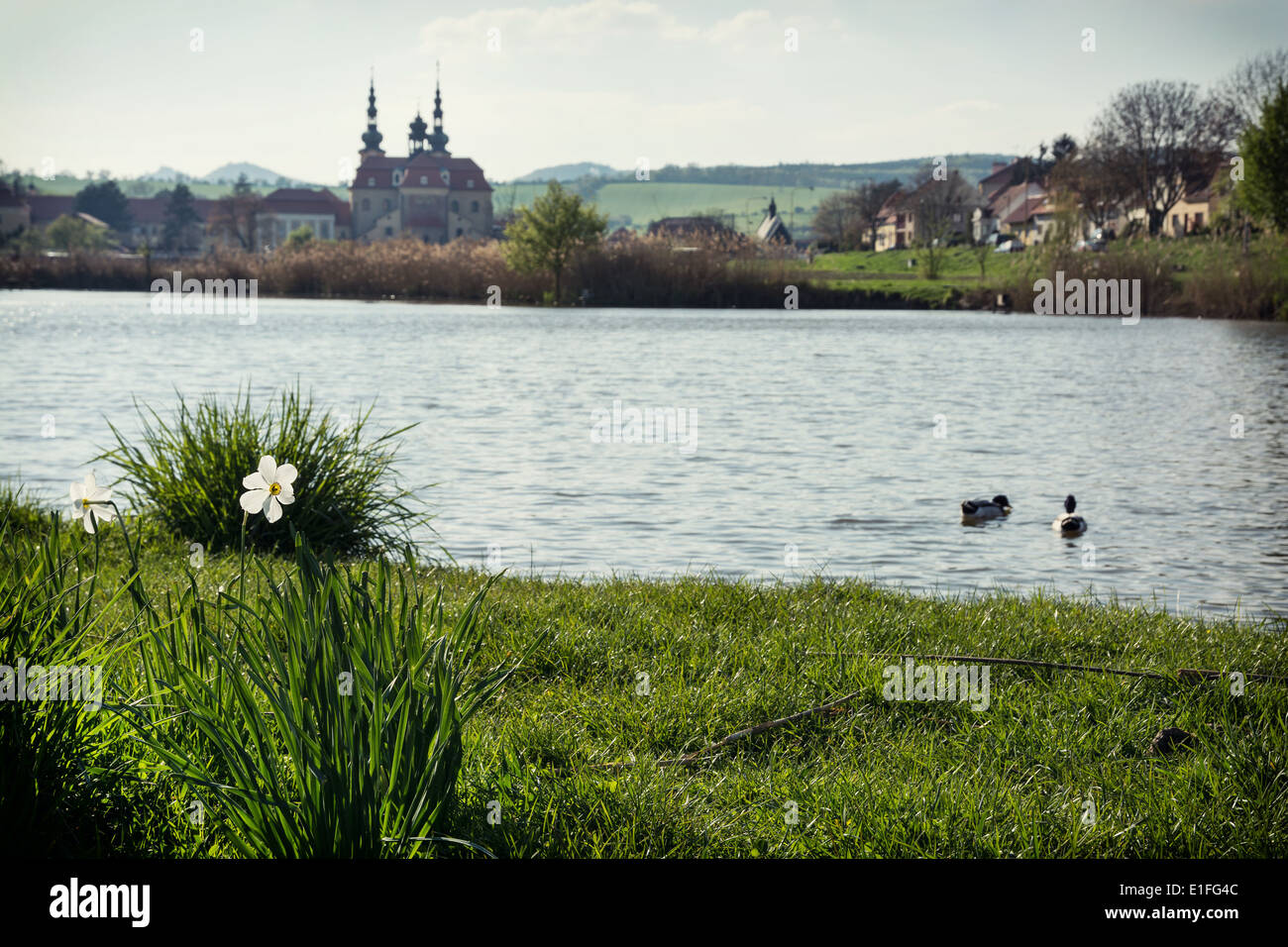 Velehrad basilica with blooming daffodils by the lake, Czech Republic ...