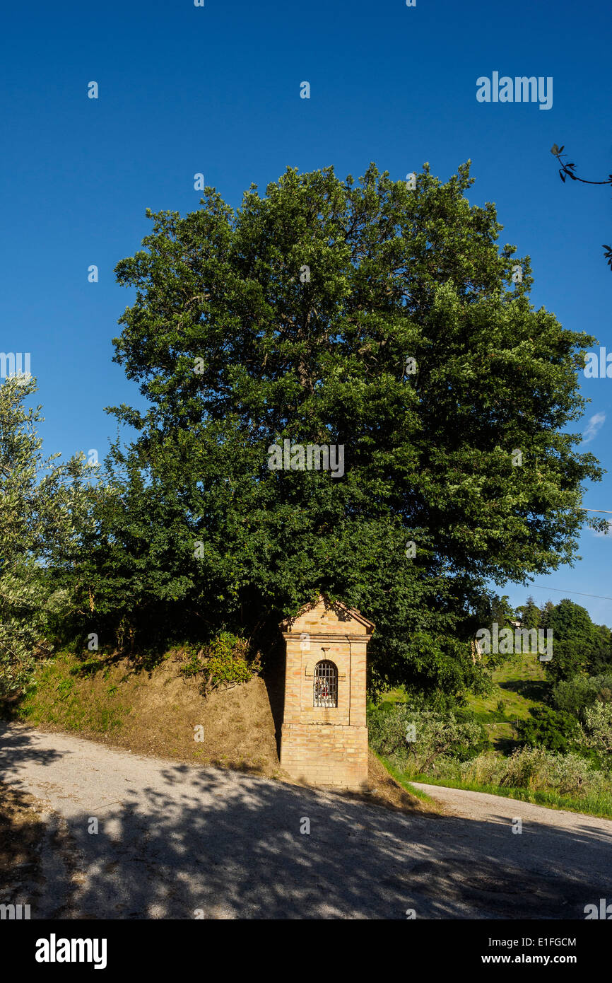 sacred shrine under an oak tree in Umbria, Italy Stock Photo - Alamy