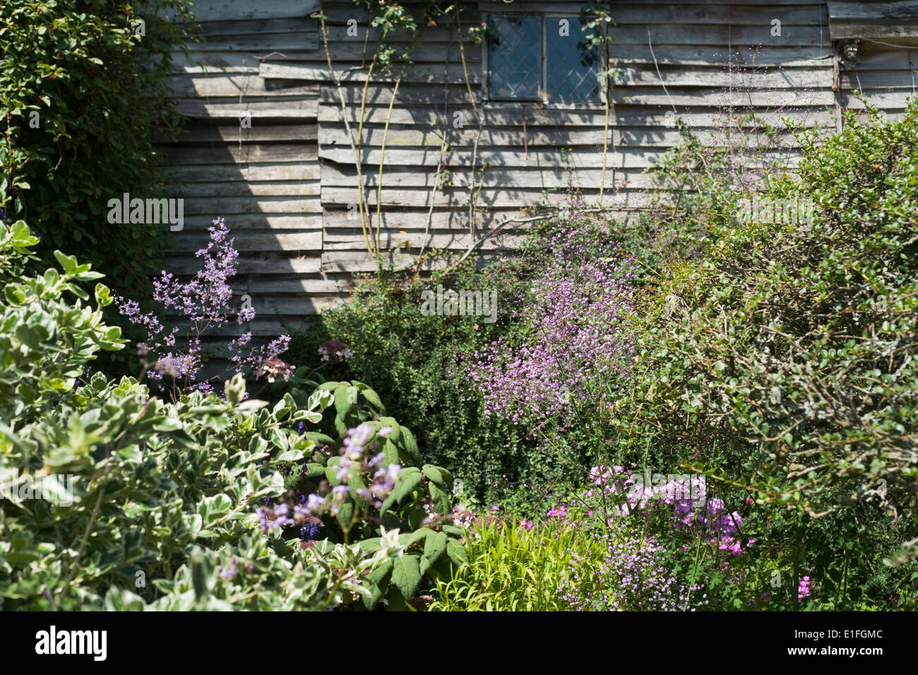 The Barn Garden created by the gardener Christopher Lloyd at Great Dixter in Northiam, East ...