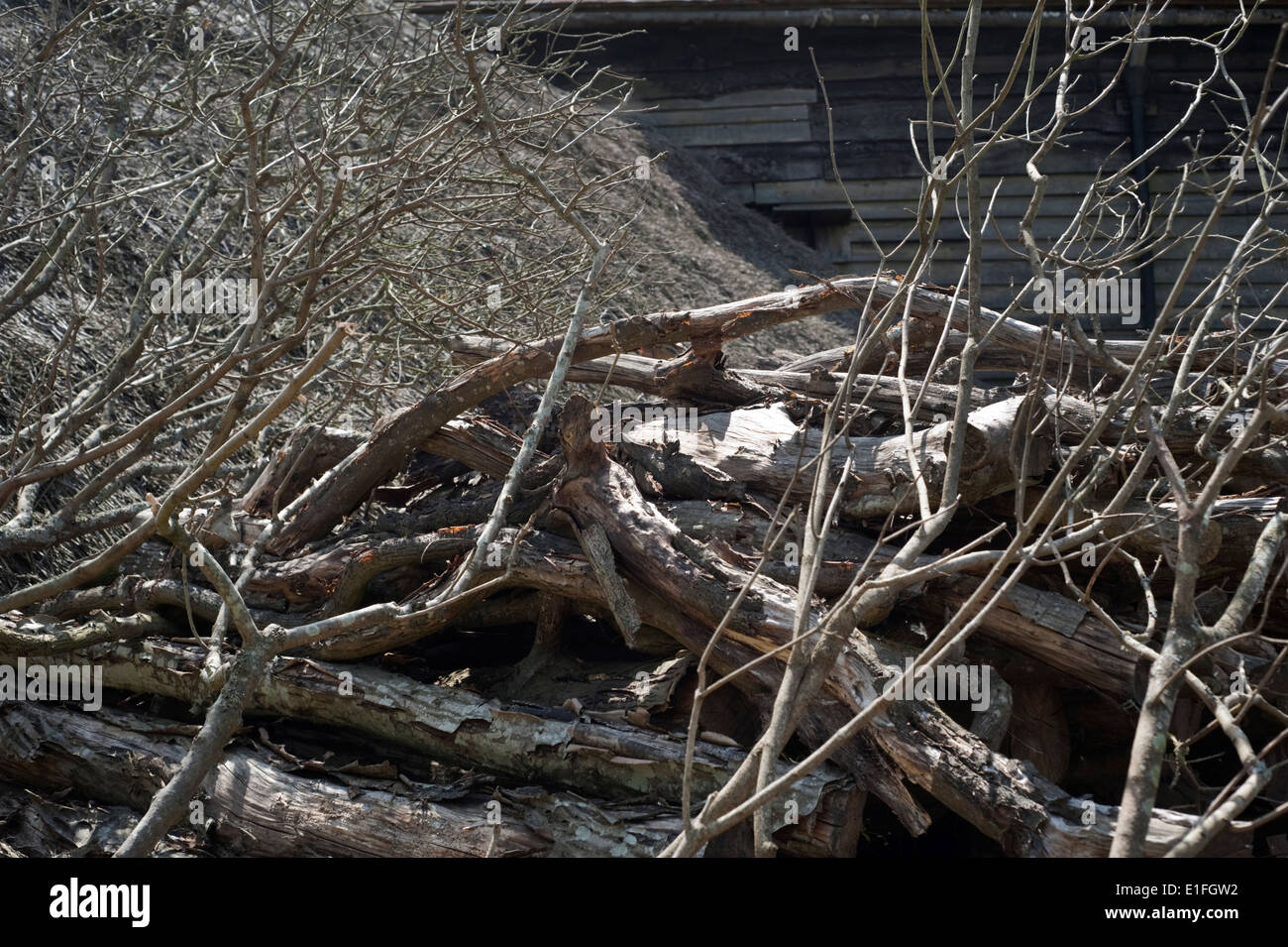 The wood pile at Great Dixter in Northiam, East Sussex, England, UK ...