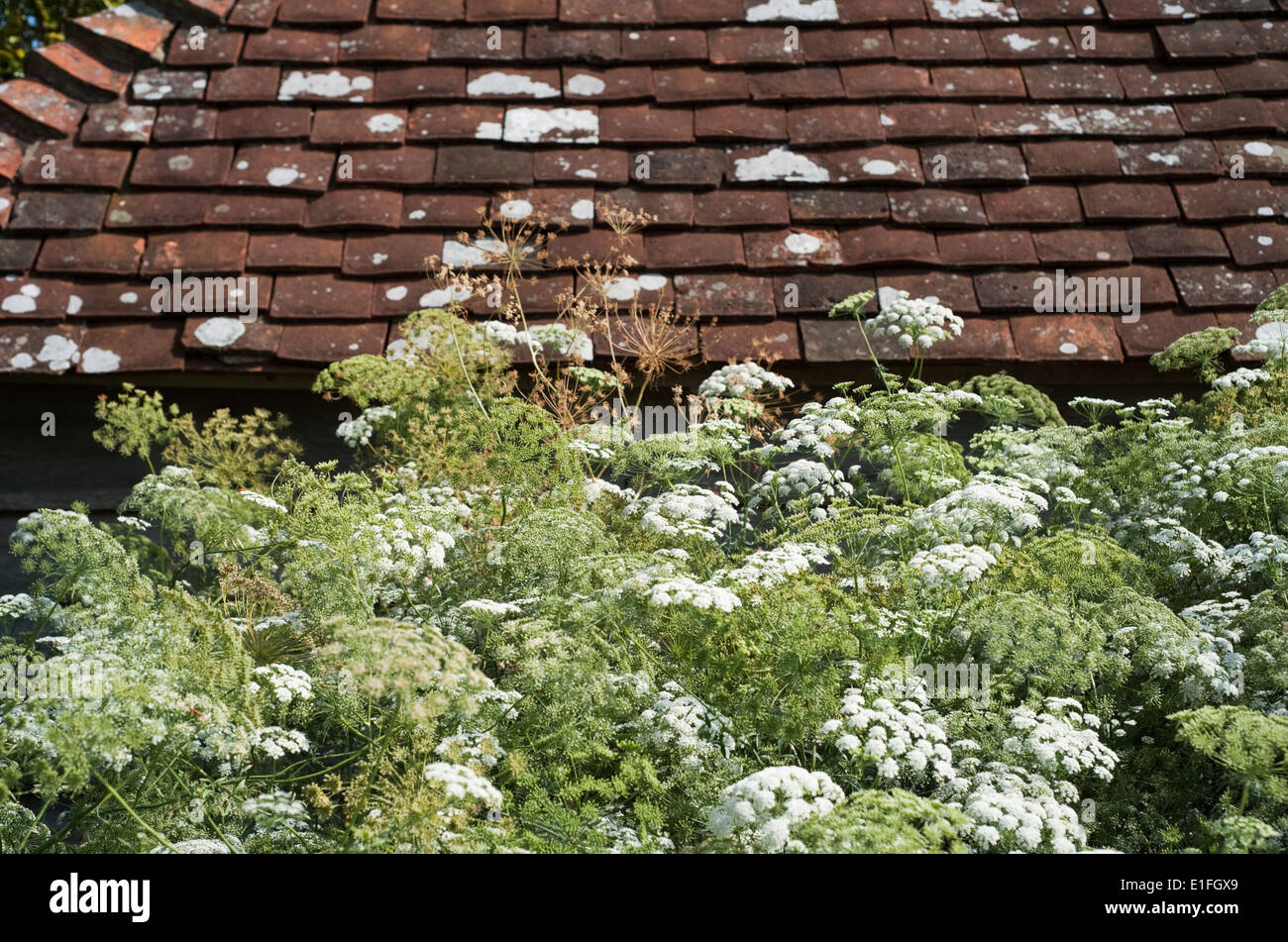 The roof of the Long Barn in the gardens created gardener Christopher Lloyd at Great Dixter in ...