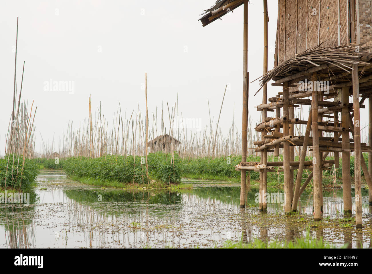 This is an image of a village on stilts at Inle Lake, Myanmar Stock ...