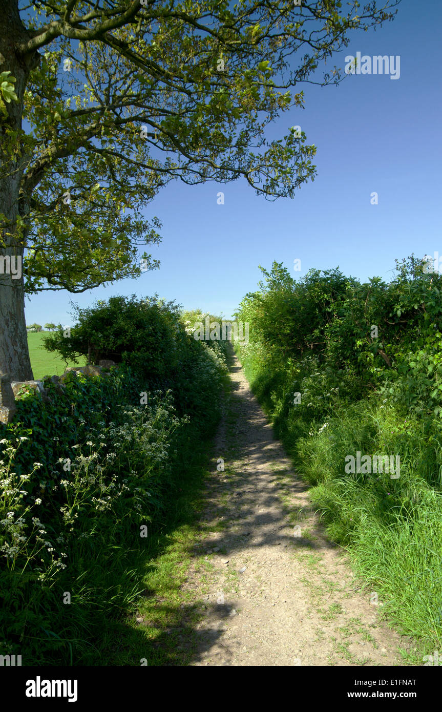 Walking on country path uk hi-res stock photography and images - Alamy