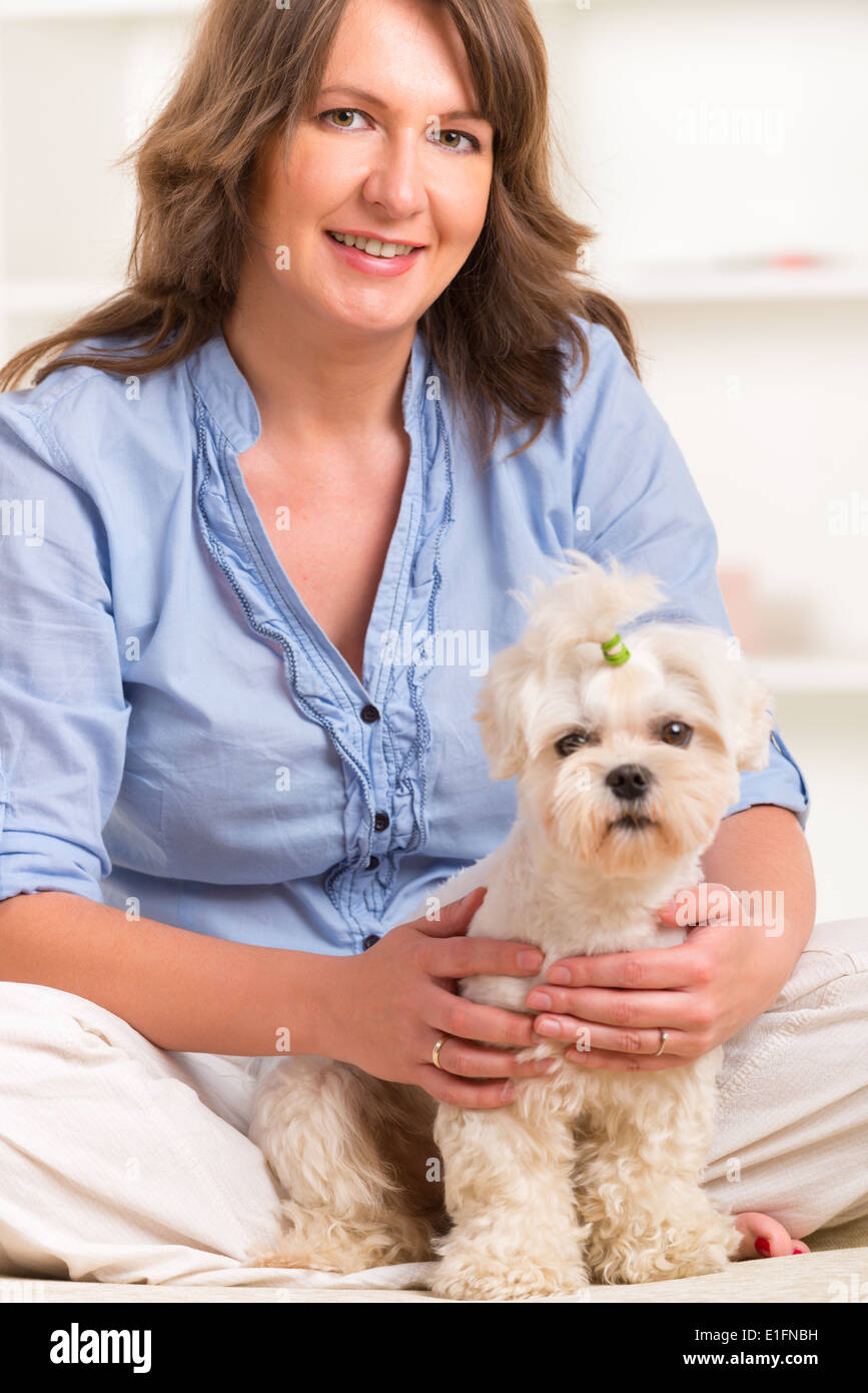 Little dog maltese with his owner on the sofa in home Stock Photo - Alamy