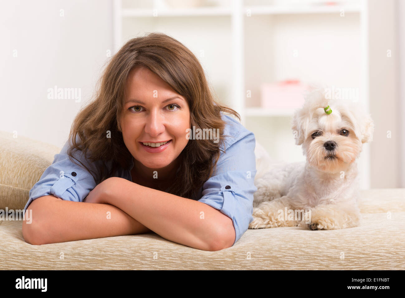 Little dog maltese with his owner on the sofa in home Stock Photo - Alamy