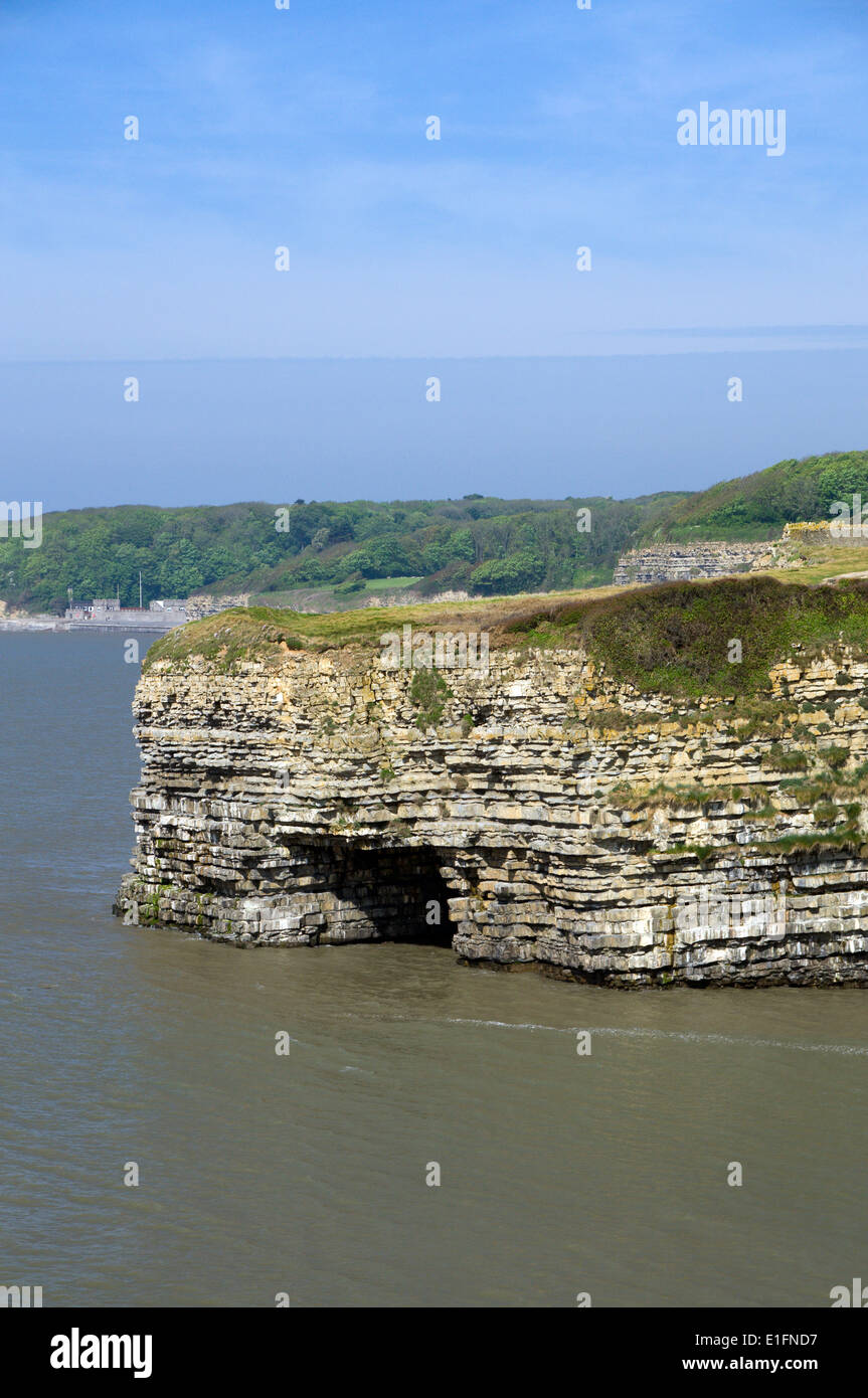 Reynards hi-res stock photography and images - Alamy