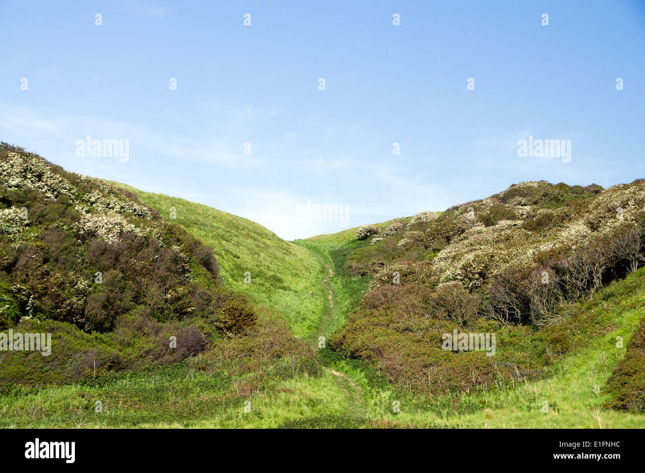 Ramparts and ditches of Iron Age Hillfort on cliffs Nash Point ...