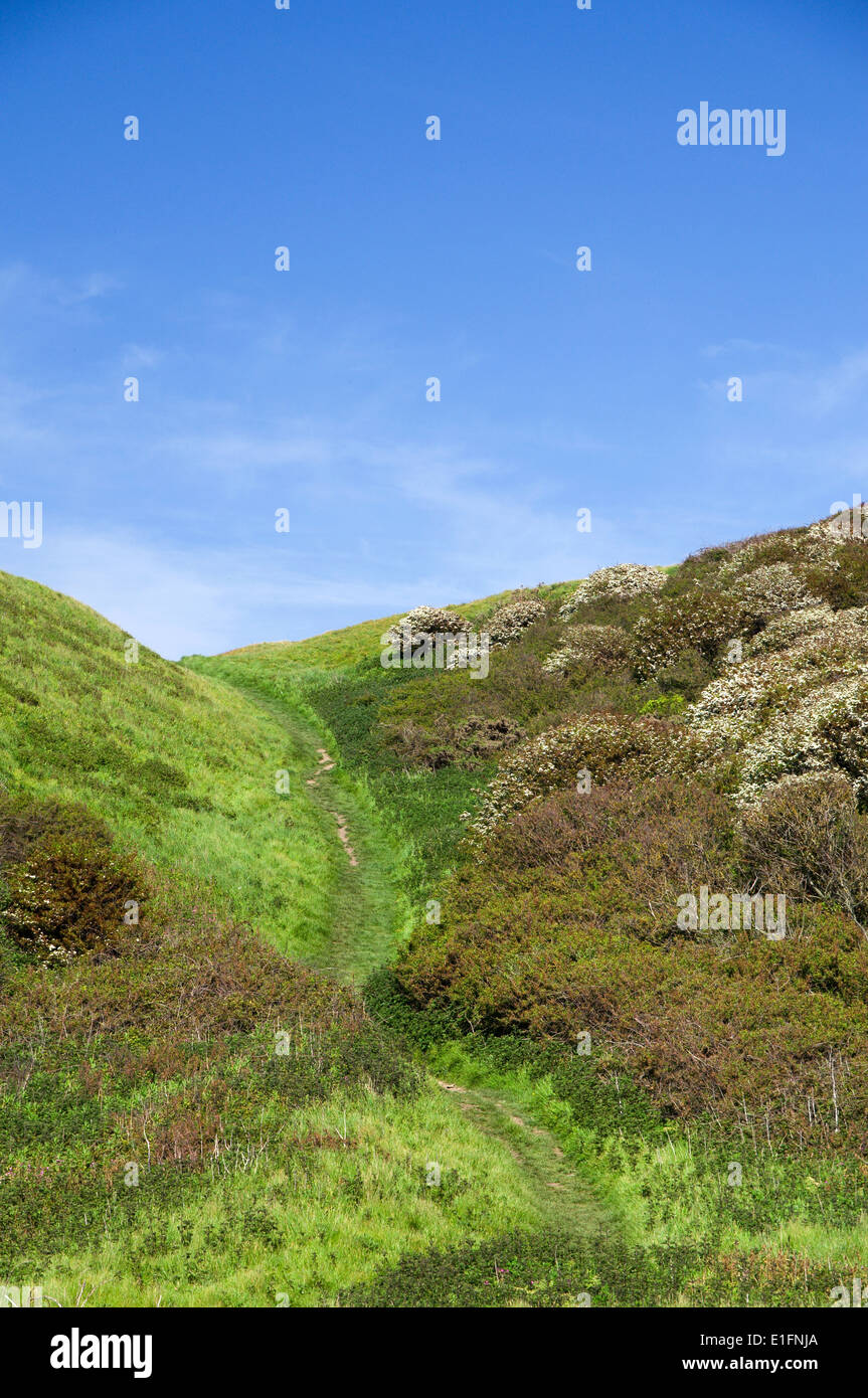 Ramparts and ditches of Iron Age Hillfort on cliffs Nash Point ...