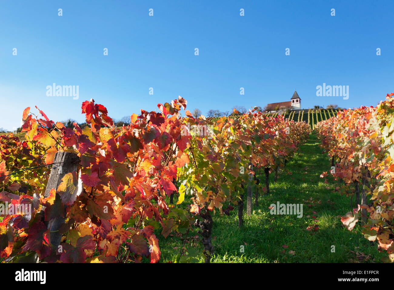 Michaelsberg Mountain High Resolution Stock Photography and Images - Alamy