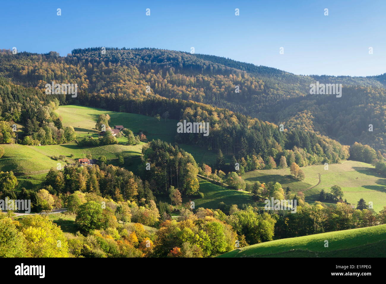 Black forest house hi-res stock photography and images - Alamy