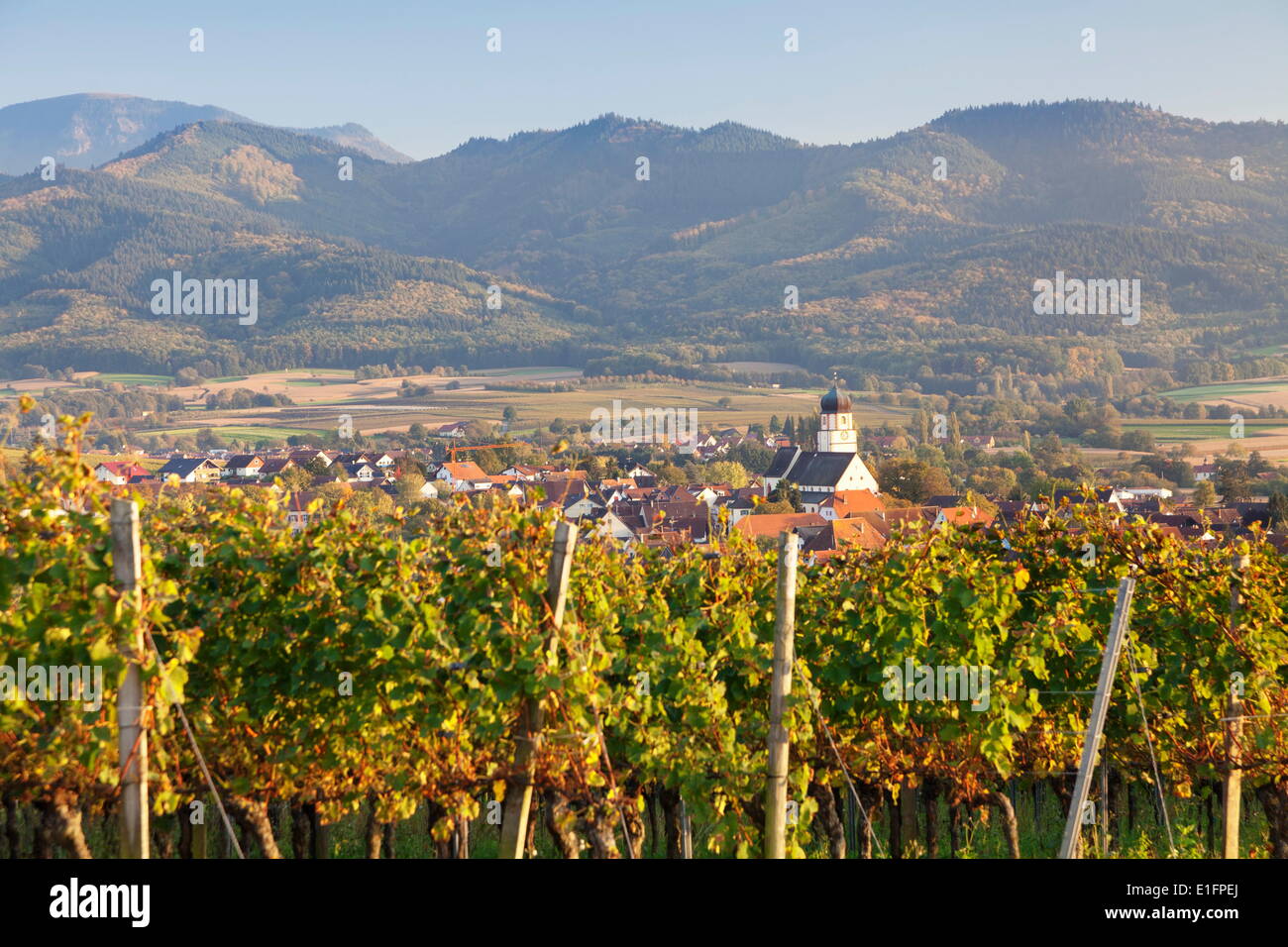 District ehrenstetten hi-res stock photography and images - Alamy