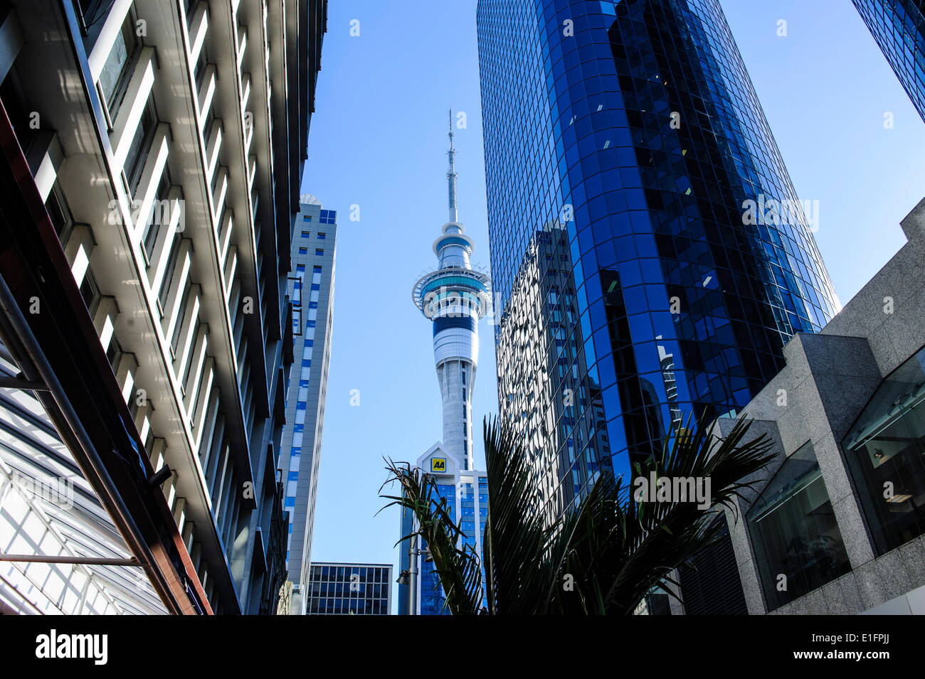 Downtown Auckland with its high rise buildings, Auckland, North Island ...