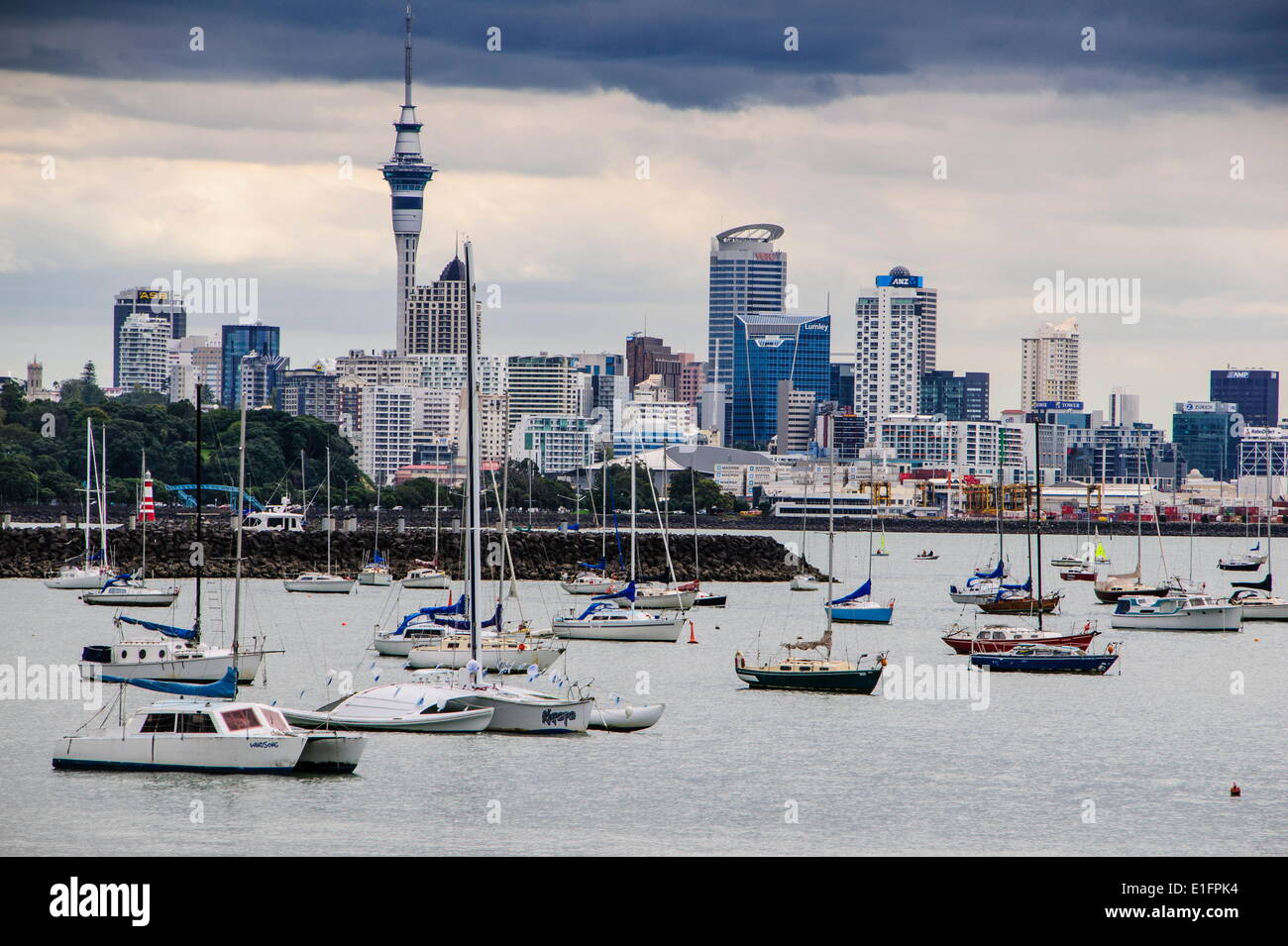 The harbour of Auckland with the skyline in the background, Auckland ...