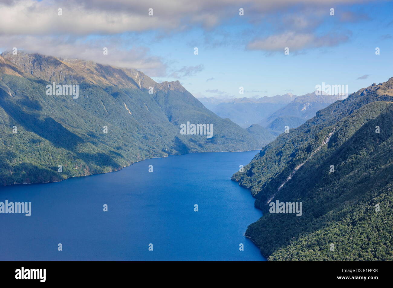 Aerial of a huge fjord in Fiordland National Park, UNESCO World ...
