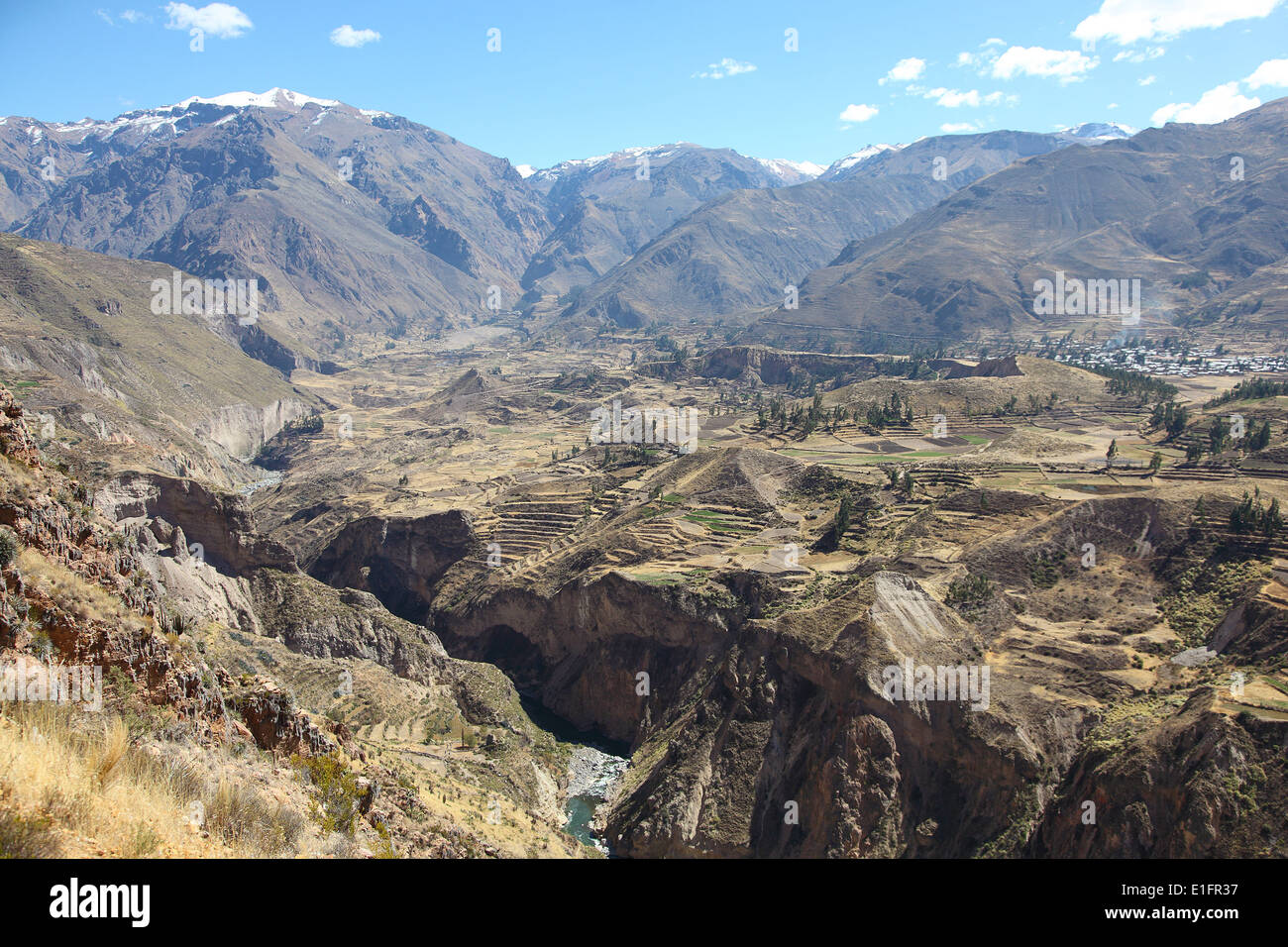 Colca Canyon Peru Stock Photo - Alamy