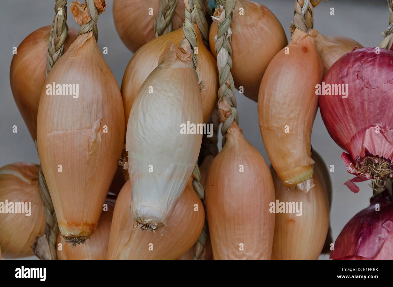 Onion head hi-res stock photography and images - Alamy