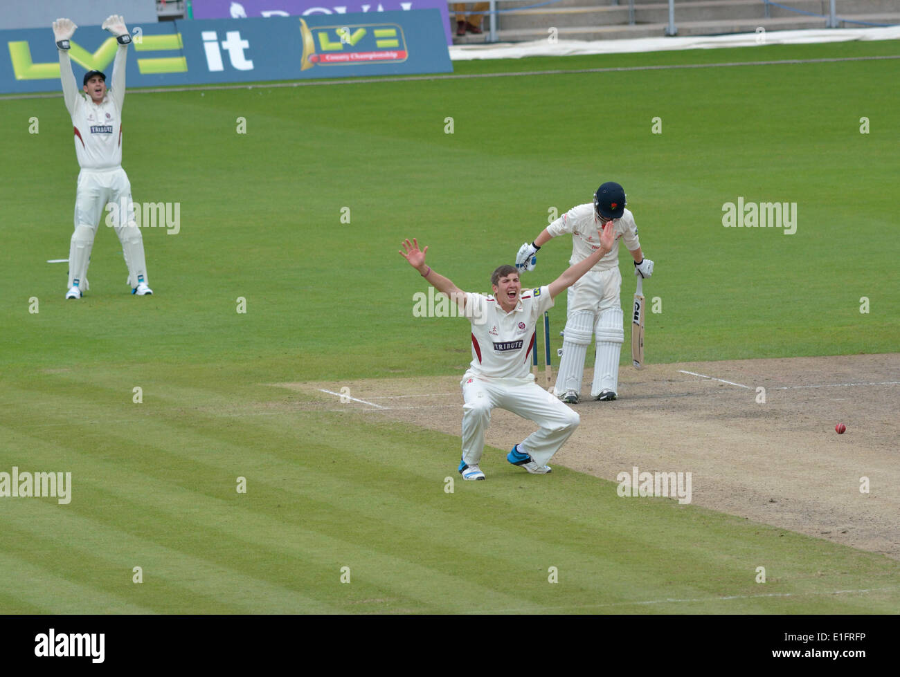 Cricket craig overton somerset hi-res stock photography and images - Alamy