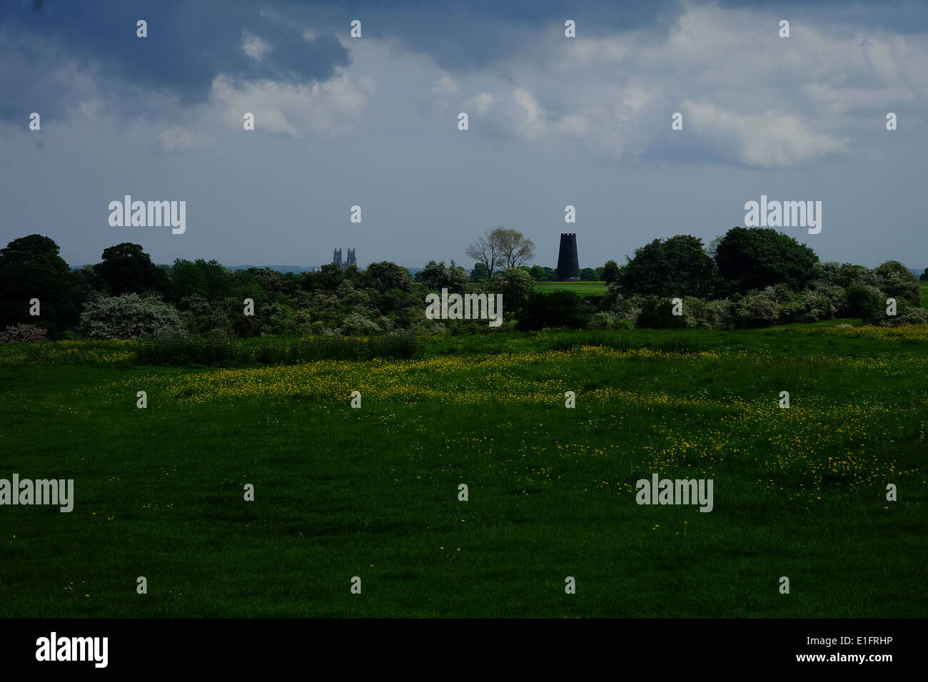 View of Beverley Minster and Black Mill from Beverley Westwood, covered ...