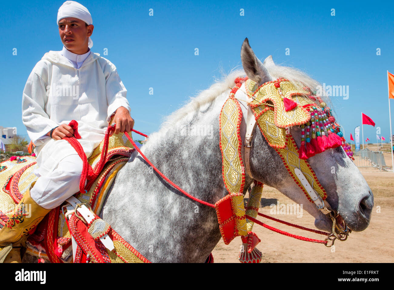 Detail of traditionally decorated Arabian Barb horses performing at a ...