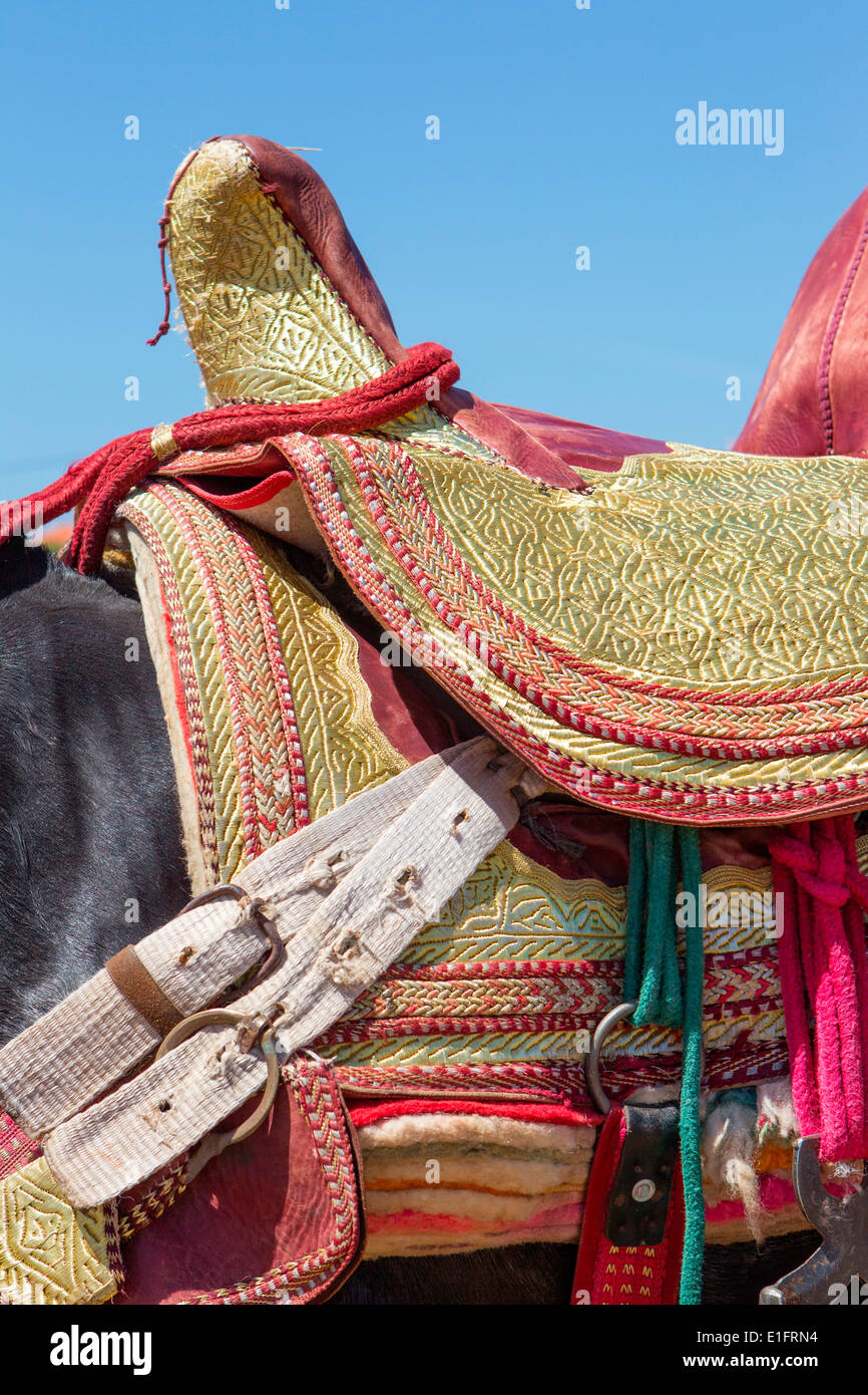 Detail of traditionally decorated Arabian Barb horses performing at a ...
