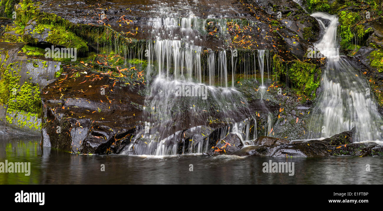 Erskin hi-res stock photography and images - Alamy