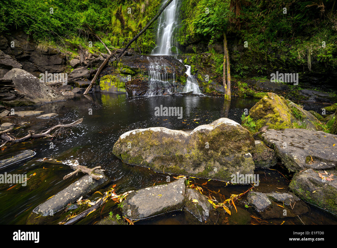 Erskin hi-res stock photography and images - Alamy