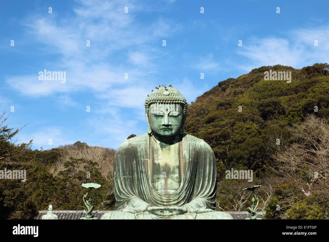 great buddha (Daibutsu) sculpture of Kamakura city Stock Photo - Alamy
