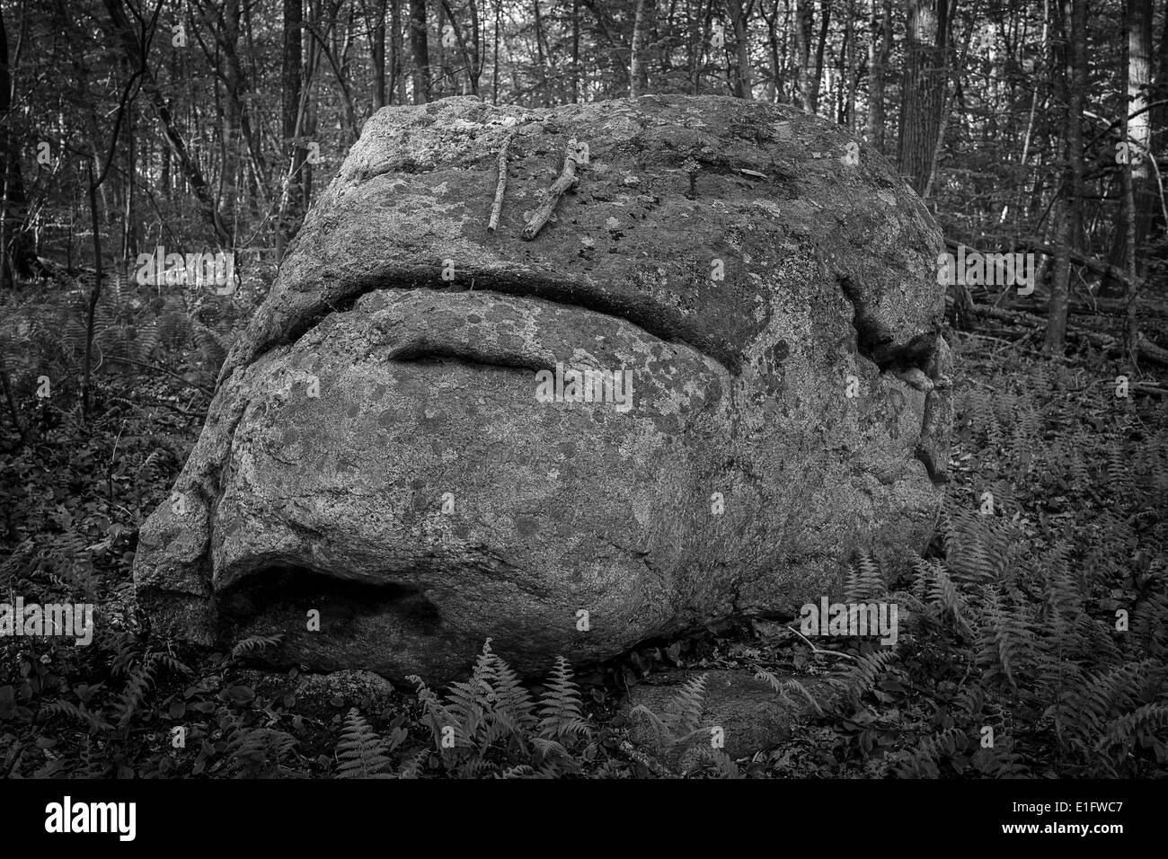 Rock that looks like a face hi-res stock photography and images - Alamy