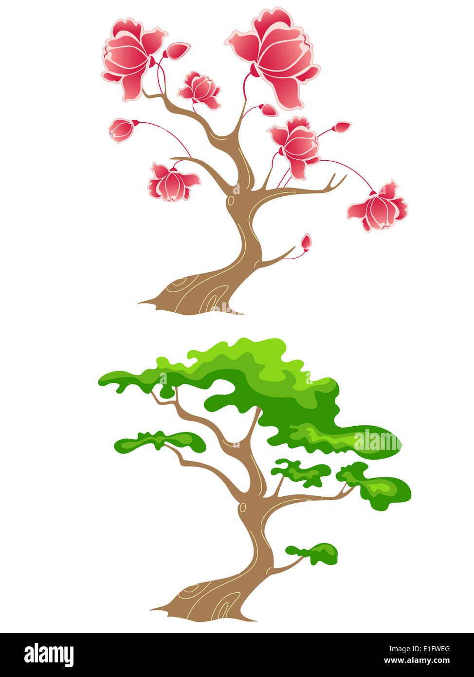 spring flowering and green summer trees Stock Photo - Alamy