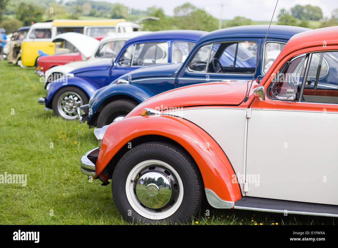 Volkswagen beetle modified car hi-res stock photography and images - Alamy