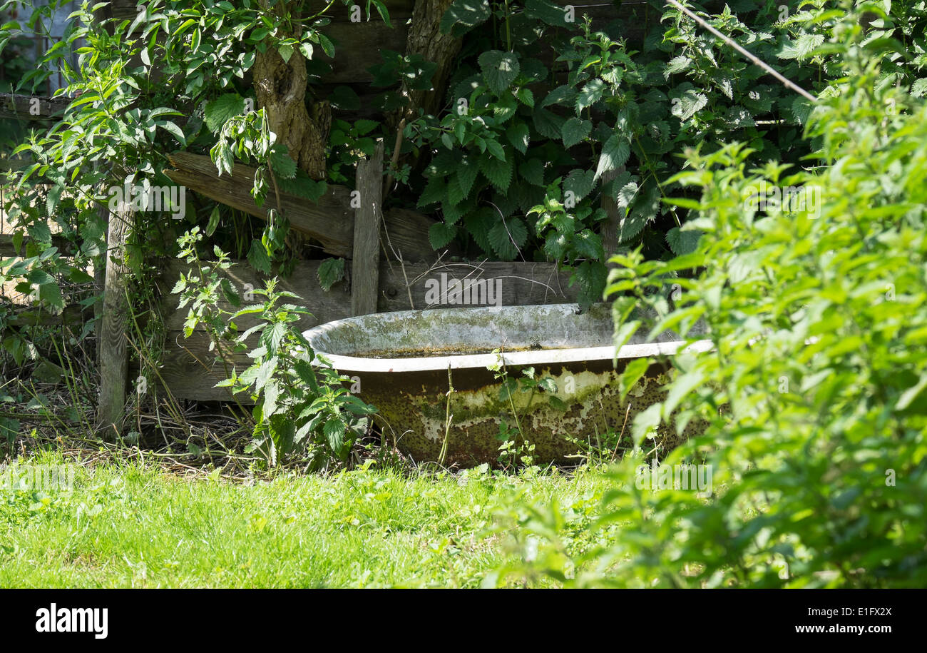 Farm water trough hi-res stock photography and images - Alamy