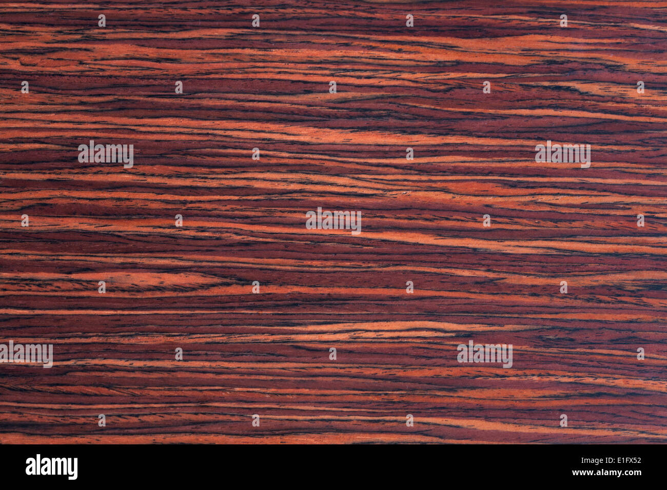 Wood Texture, WALNUT Stock Photo - Alamy
