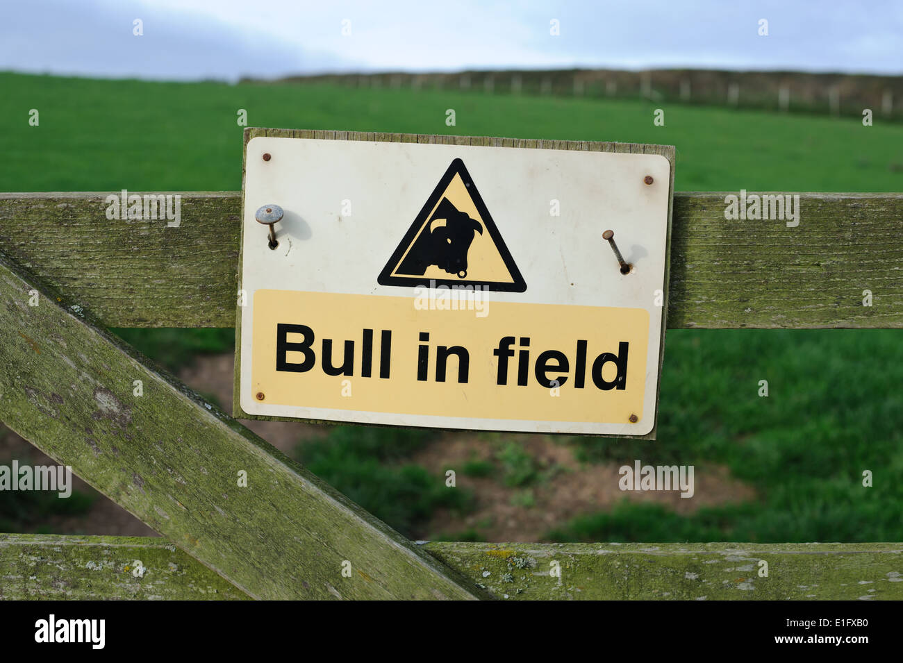 Bull in field sign hi-res stock photography and images - Alamy