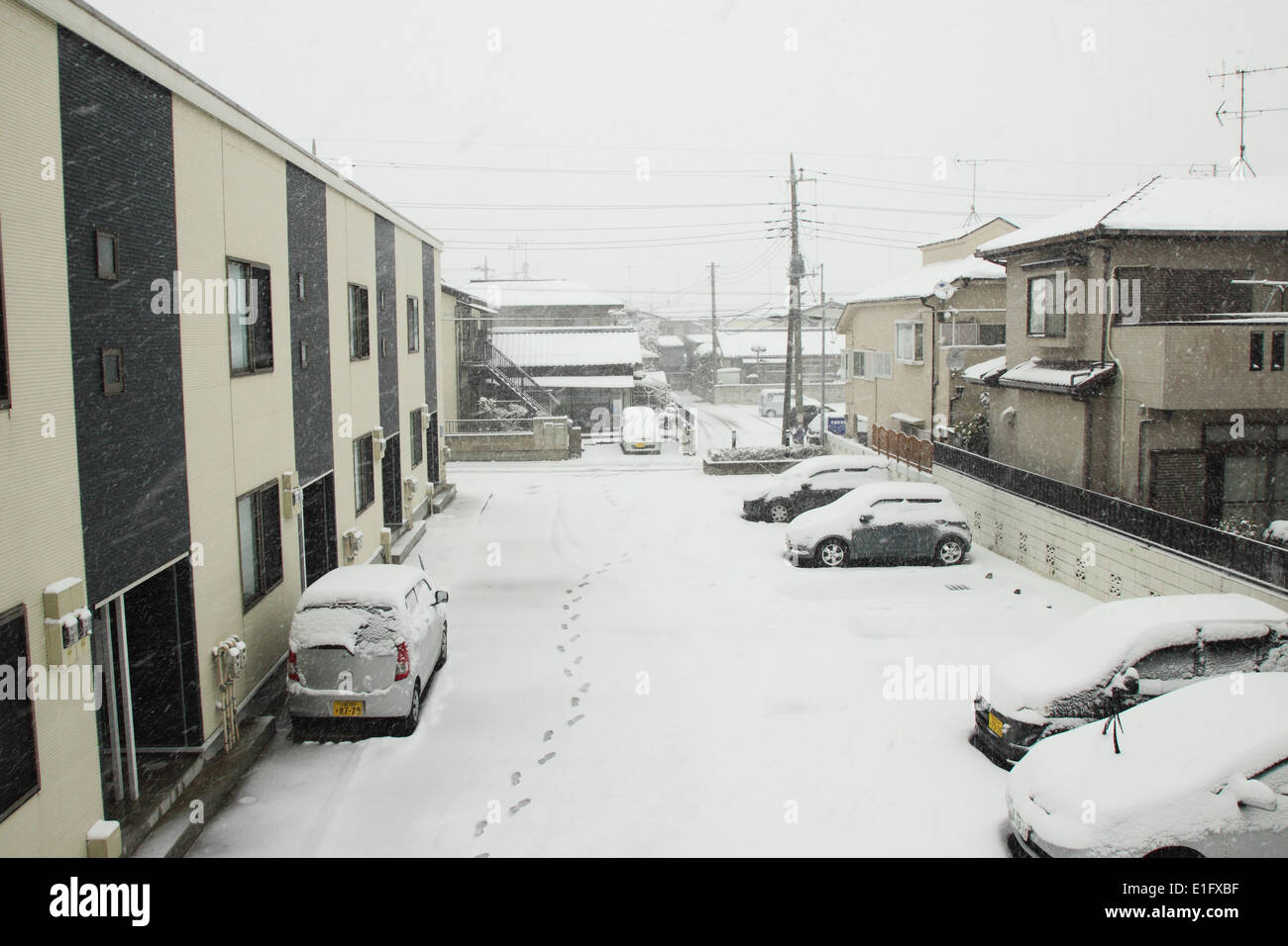 Japan- Feb08 : The heaviest snow in decades in Tokyo and other areas of ...