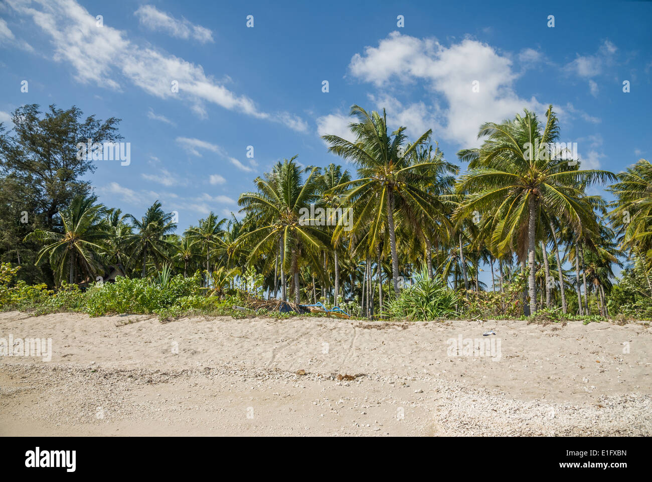 Coconut trees hi-res stock photography and images - Alamy
