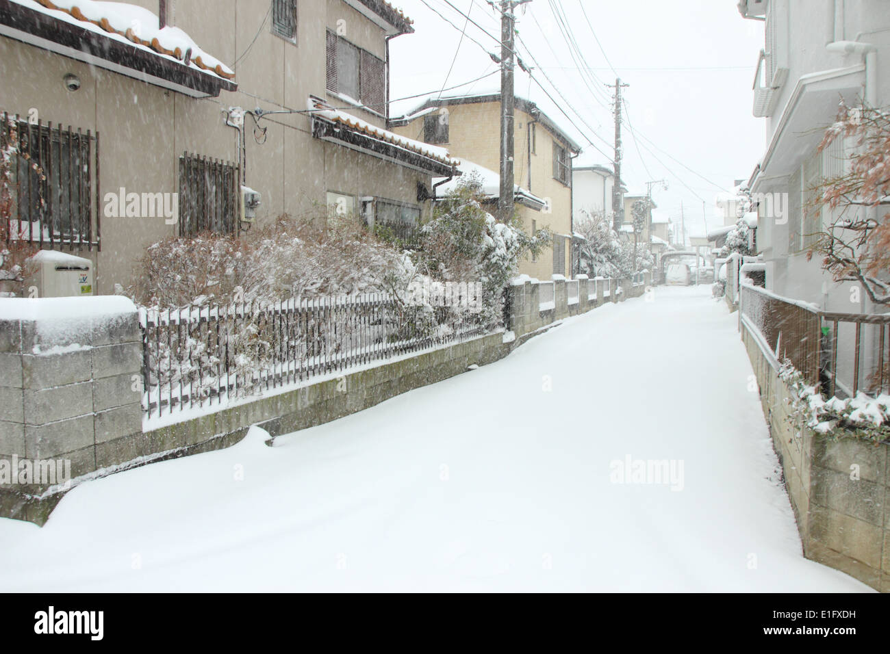 Japan- Feb08 : The heaviest snow in decades in Tokyo and other areas of ...