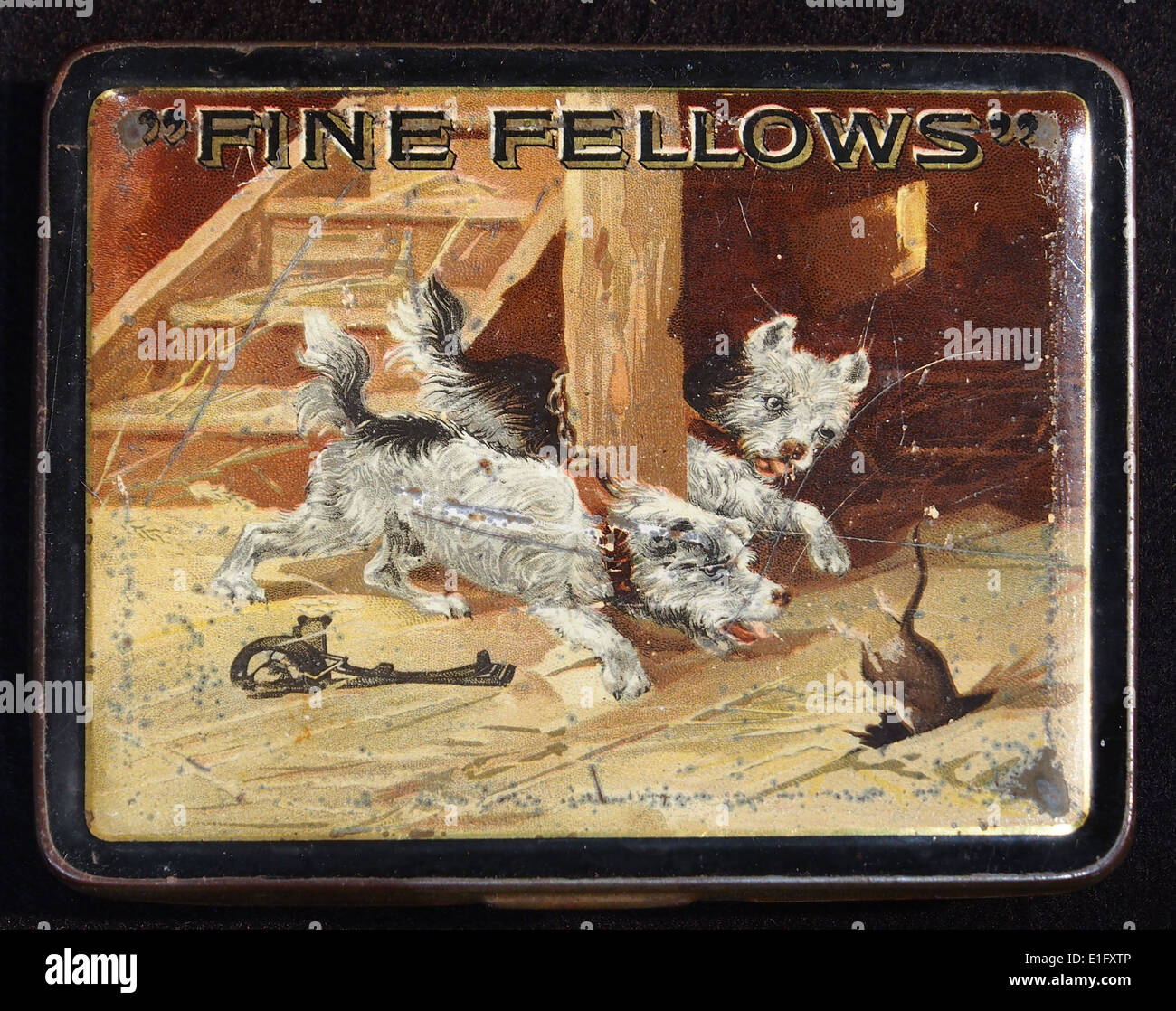 Fine fellows terrier dog cigar pocket tobacco tin 1920s hi-res stock ...