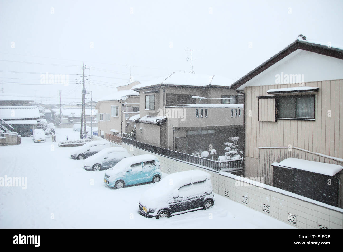 Japan- Feb08 : The heaviest snow in decades in Tokyo and other areas of ...