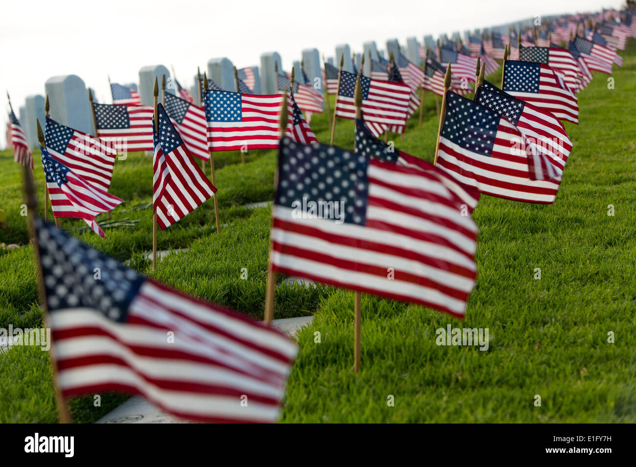 On Memorial Day tiny American flags are placed at each grave at Fort ...
