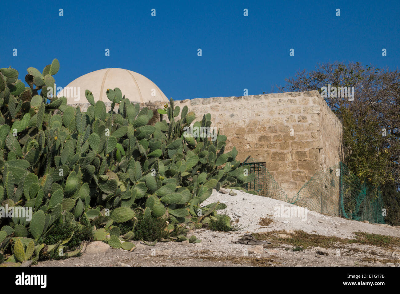Lower Galilee, Israel. An old shrine and a cactus hedge in the Beit She'arim national park Stock ...