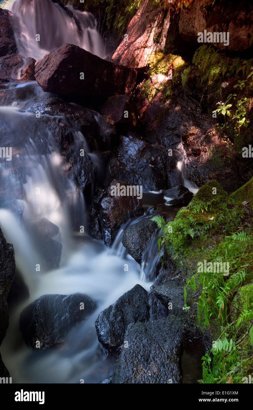 Beautiful cascading waterfall over rocks at Nova Scotia Canada Stock ...