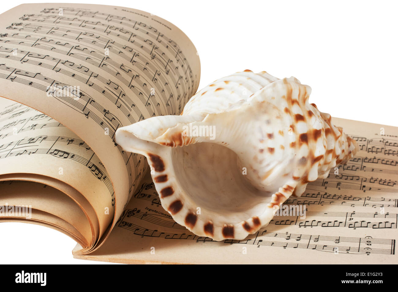 sea shell and music book isolated on a white backgrounds Stock Photo ...