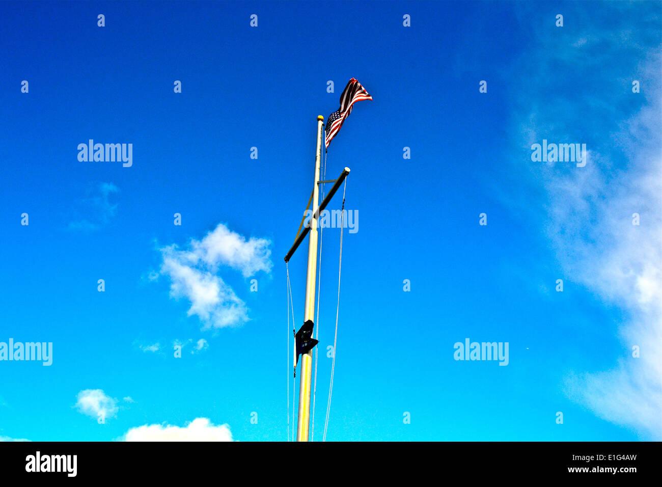 Flag held hi-res stock photography and images - Alamy