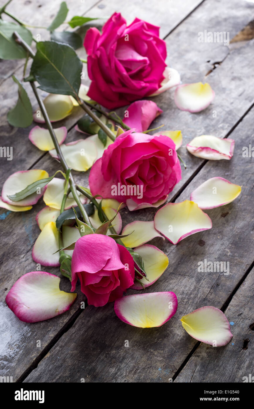 Lying rose petals hi-res stock photography and images - Alamy