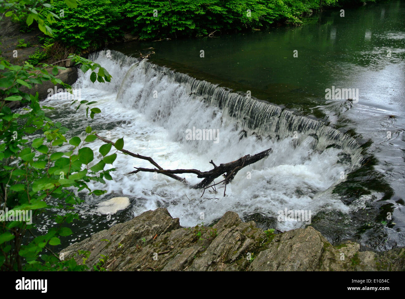 A small waterfall of the Bronx river during a Spring shower in New York ...