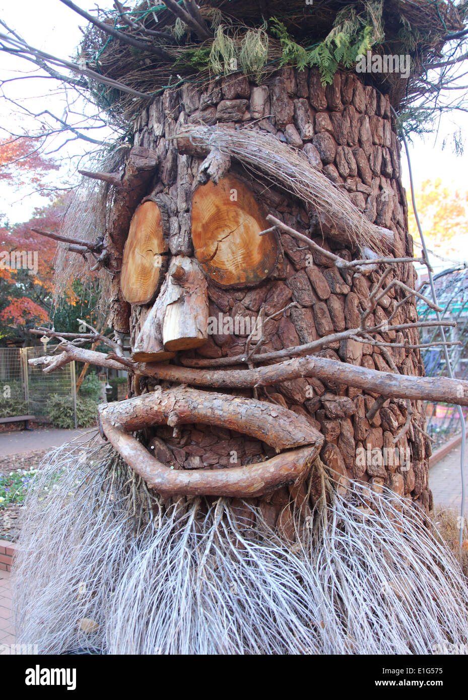 The human tree carving Stock Photo - Alamy