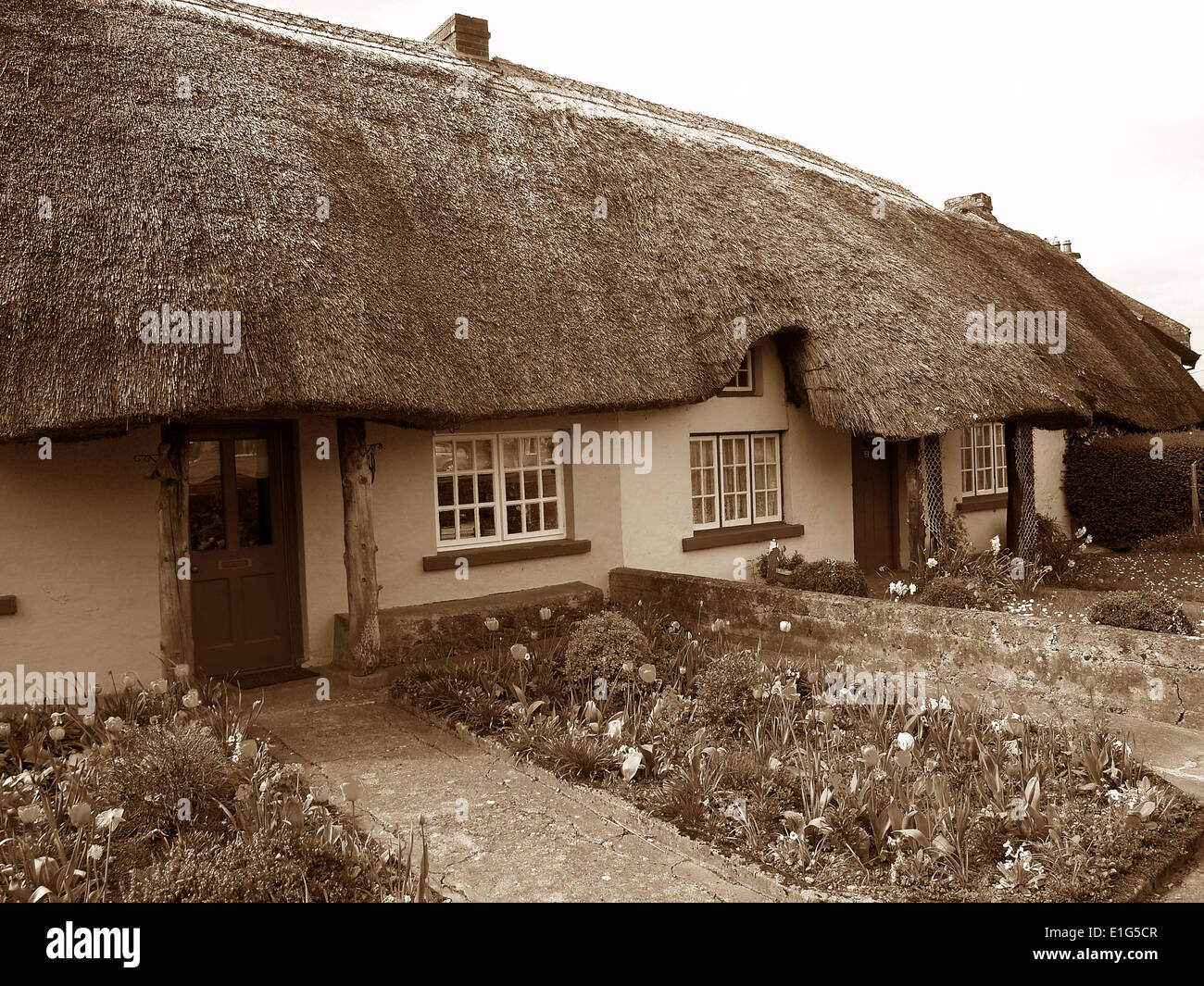 Thatched roof cottage,Adare,Ireland Stock Photo - Alamy
