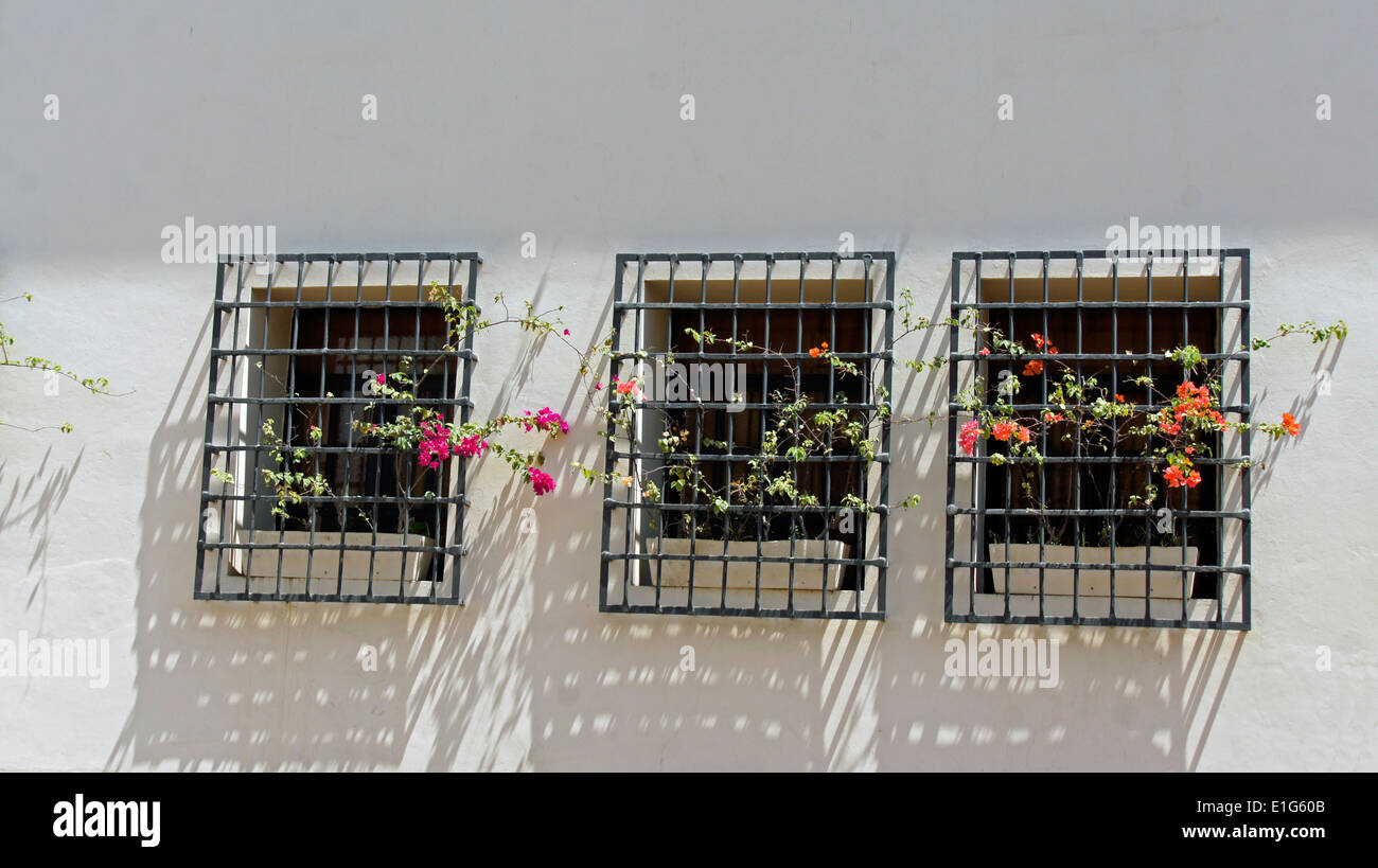 Capitol buildin hi-res stock photography and images - Alamy