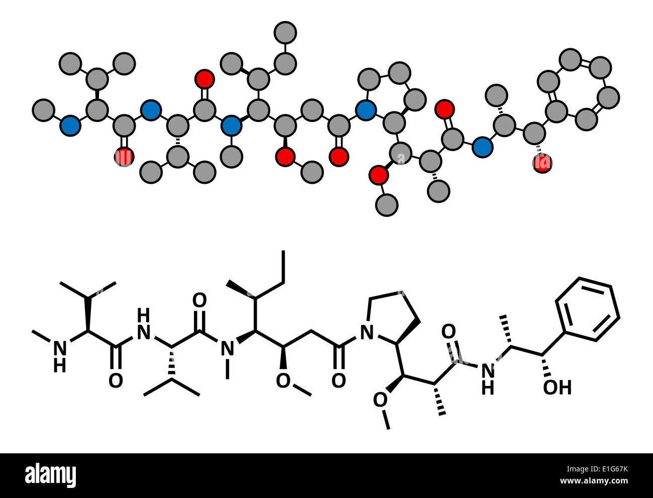 Monomethyl auristatin E (MMAE, vedotin), the cytotoxic payload of ...